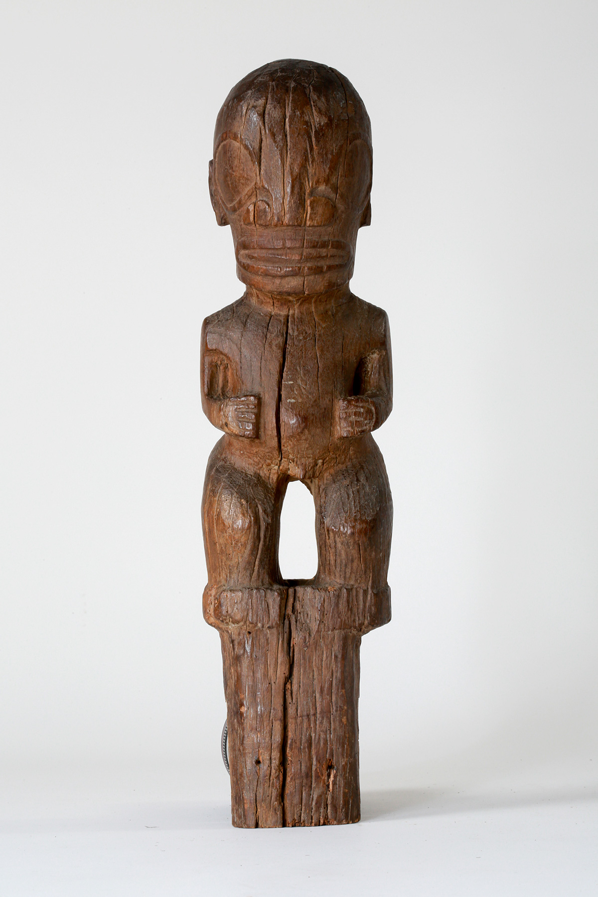 Découvrez la diversité de nos collections | Musée d'Histoire Naturelle ...